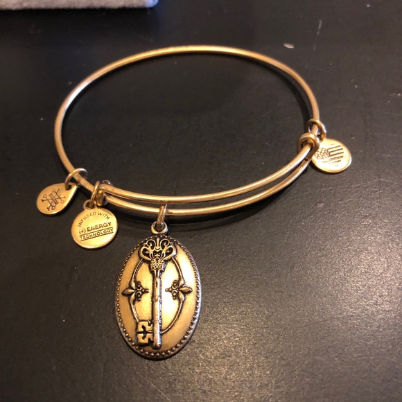 Alex and Ani | Jewelry | Alex And Ani Bracelet Bangle Key To Life Brassy Gold Tone Rafaelian ...
